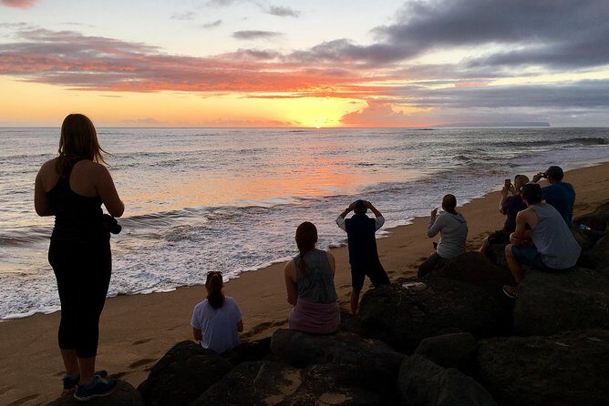 Waimea Canyon Downhill Bike Ride - Practical Details: What You Need to Know
