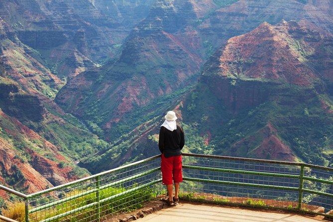 Waimea Canyon & Na Pali Driving Tour App - Accessibility and Support