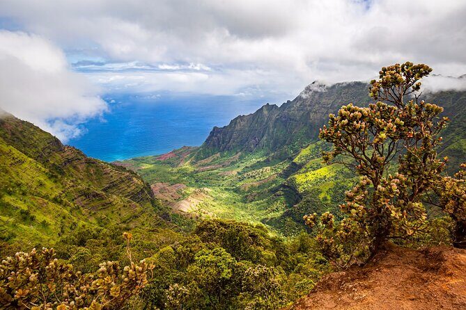 Waimea Canyon Private Tour with Local Guide from Kauai - Authentic Reviews and Insights