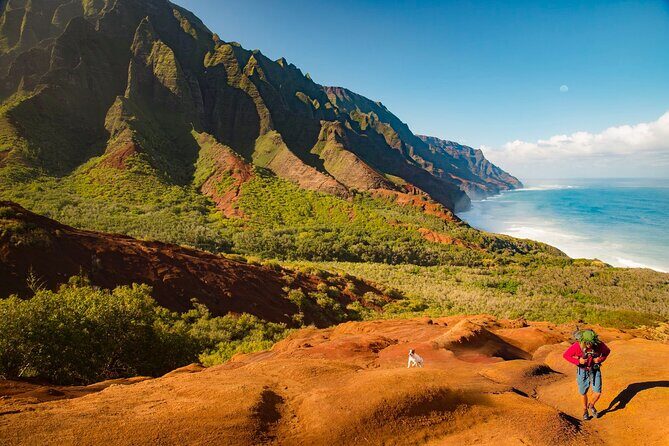 Waimea Canyon Private Tour with Local Guide from Kauai - Why This Tour Might Be Your Best Choice
