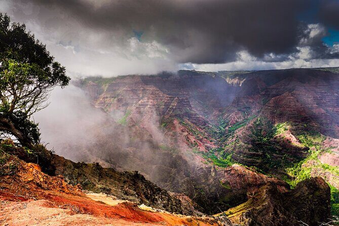 Waimea Canyon Private Tour with Local Guide from Kauai - The Sum Up