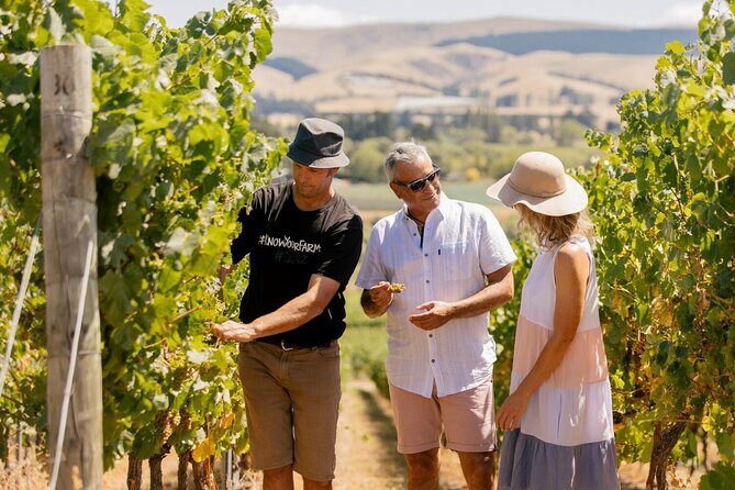 Waipara Valley Wine Region and Hanmer Springs All Day Tour - What Makes This Tour Stand Out?