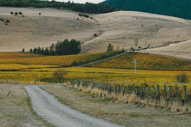 Waipara Valley Winery Tour Wine Tastings and Scenic Views - Breakdown of the Itinerary: What to Expect at Each Stop