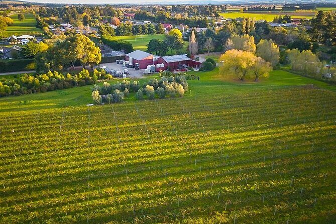 Waipara Valley Winery Tour Wine Tastings and Scenic Views - Why Choose This Tour?