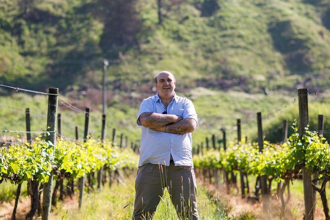 Waipara Wine Experience for 2 or more, inc tastings and lunch - The Wines and Food