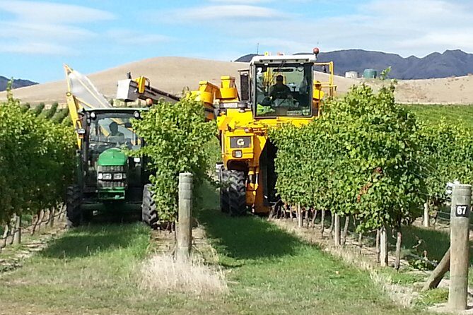 Waipara Wine Tour from Christchurch - including Lunch & Tastings - Who Should Consider This Tour?