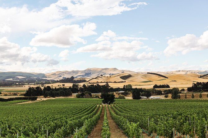 Waipara Wine Tour from Christchurch - including Lunch & Tastings - Final Thoughts