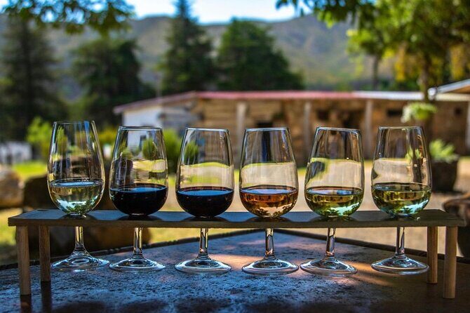 Waipara Wine Trail Private Group Tour From Christchurch - A Deep Dive into the Waipara Wine Trail Private Tour from Christchurch
