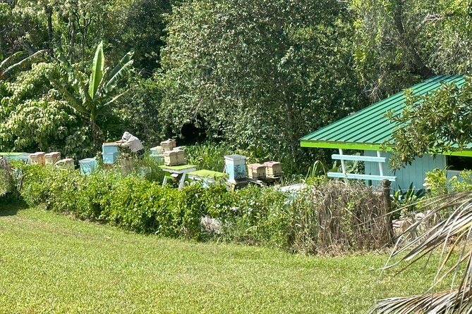 Waipi’o on Horseback: Mountain Ocean Views Working Cattle Ranch - The Unique Aspects of This Horseback Tour