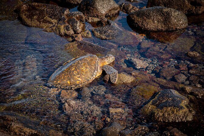 Waipio Valley, Hilo Waterfalls, Volcano and Black Sand Beach - The Sum Up