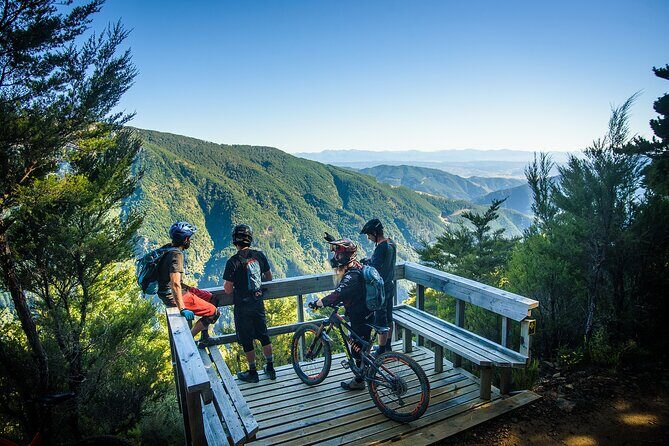 Wairoa Gorge MTB Park Private Shuttle Day - Exploring Wairoa Gorge: The Heart of the Adventure