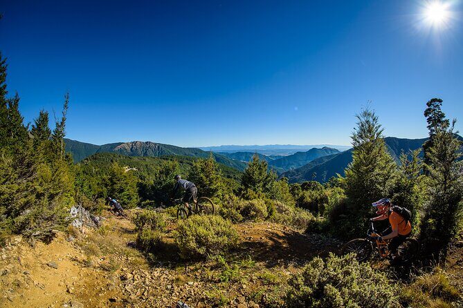Wairoa Gorge MTB Park Private Shuttle Day - The Sum Up