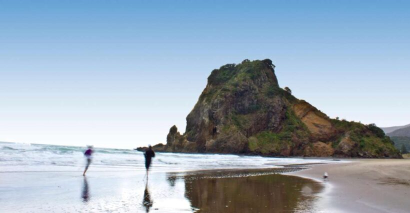Waitakere Ranges Wilderness Experience Tour from Auckland - A Practical Guide to the Waitakere Ranges Wilderness Experience