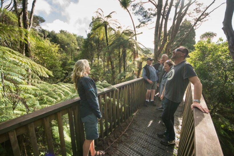 Waitakere Ranges Wilderness Experience Tour from Auckland - Final Thoughts: Is It Worth It?