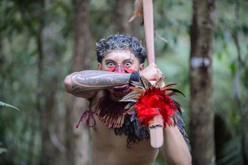 Waitangi Treaty Grounds Guided Tour - Journey to the Heart of New Zealand