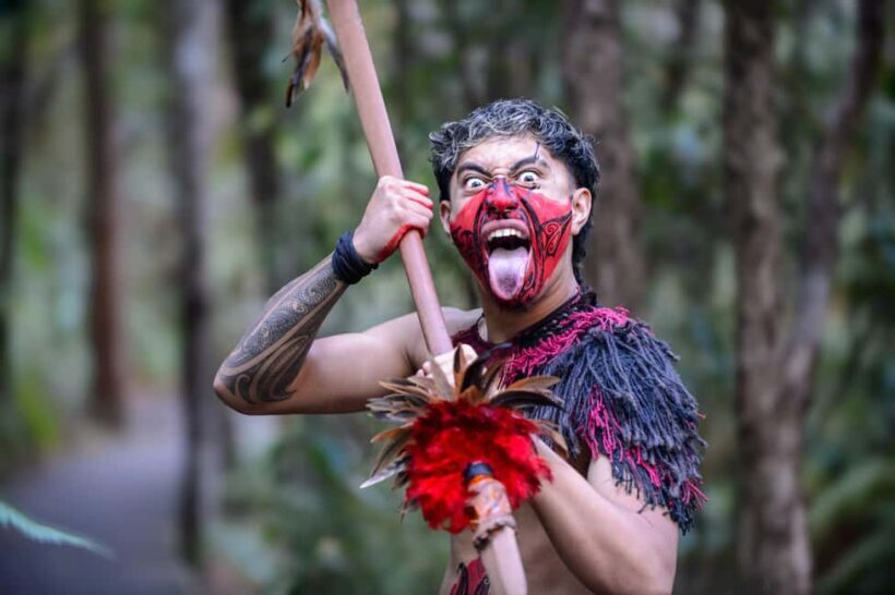 Waitangi: Treaty Grounds Hng and Concert Combo Pass - Who Will Love This Tour?