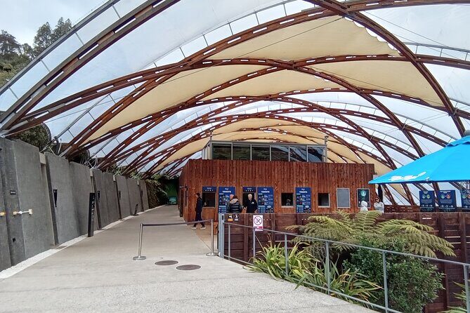 Waitomo Cave and Hobbiton Village Full Day Tour - Introduction