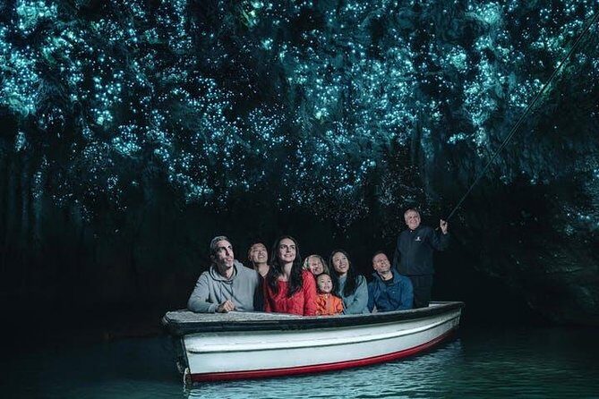 Waitomo Caves Private Tour from Auckland - Introduction