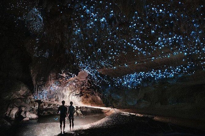Waitomo Caves Private Tour from Auckland - Who This Tour Is Best For