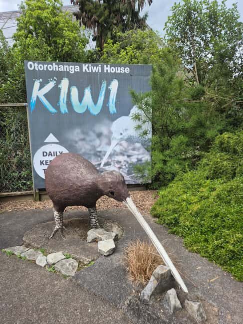 Waitomo: Caves to Kiwis eBike ride - The Kiwi Experience: Up Close and Personal at Otorohanga Kiwi House