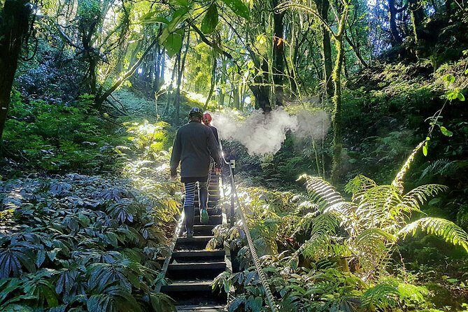 Waitomo - Eco Adventure Glowworm Cave Tour - Off the Beaten Track - Key Points