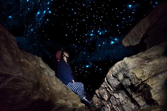 Waitomo - Eco Adventure Glowworm Cave Tour - Off the Beaten Track - An In-Depth Look at the Eco Adventure Glowworm Cave Tour