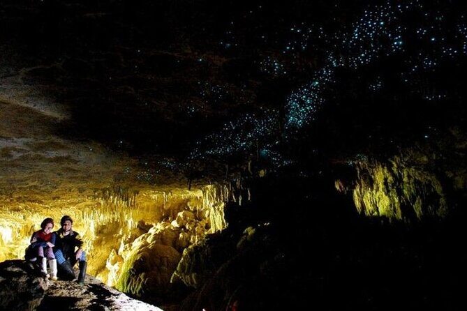 Waitomo Glow Worm Caves Private Tour from Auckland - Introduction: A Unique Adventure from Auckland