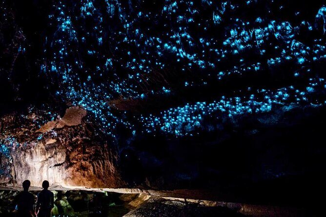 Waitomo Glow Worm Caves Private Tour from Auckland - Key Points