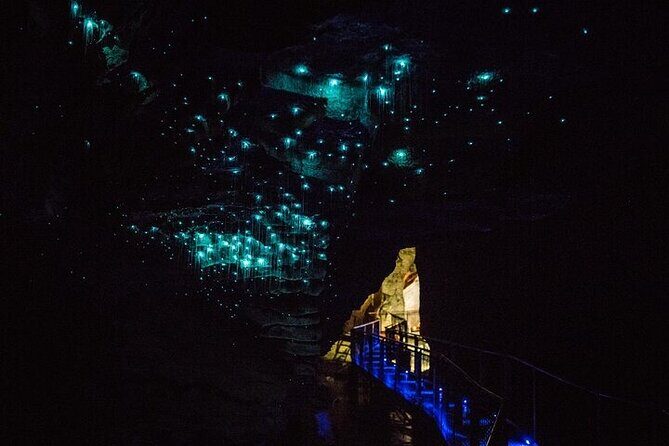 Waitomo Glow Worm Caves & Te Puia - Rotorua's Geothermal Valley - Who Should Consider This Tour?
