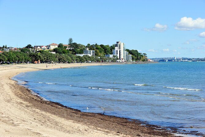 Waitomo Glowworm Caves and Auckland City Tour a Day Trip - Is This Tour for You?