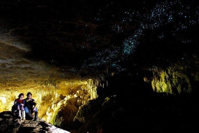 Waitomo Glowworm Caves and Auckland City Tour a Day Trip - Final Thoughts