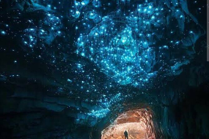 Waitomo Glowworm Caves and Ruakuri Cave - A Practical Guide to the Waitomo Glowworm & Ruakuri Experience