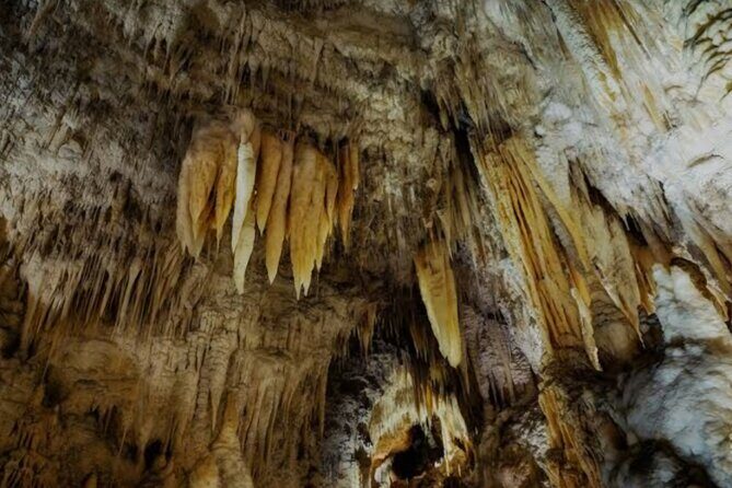 Waitomo Glowworm Caves and Ruakuri Cave - Final Thoughts