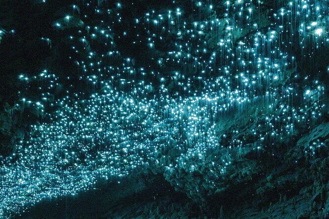 Waitomo Glowworm Caves Guided Tour - Final Thoughts
