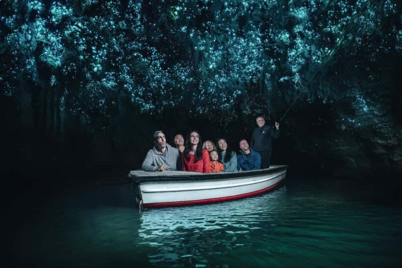WAITOMO GLOWWORM CAVES & HAMILTON GARDENS - PRIVATE TOUR - The Itinerary in Detail