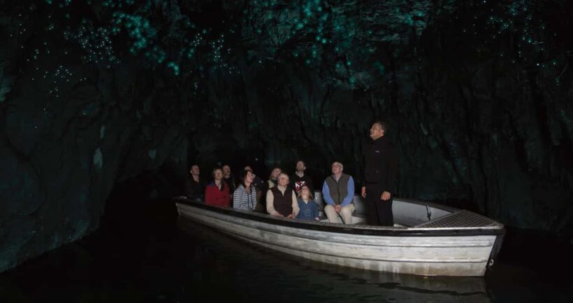 WAITOMO GLOWWORM CAVES & HAMILTON GARDENS - PRIVATE TOUR - The Sum Up
