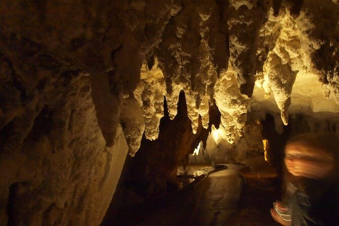 Waitomo Glowworm Caves In a Private Small Group Tour-Auckland. - An In-Depth Look at the Tour Itself