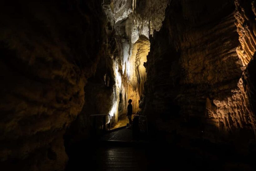 WAITOMO GLOWWORM & RUAKURI CAVES-PRIVATE TOUR FROM AUCKLAND - Overview of the Experience