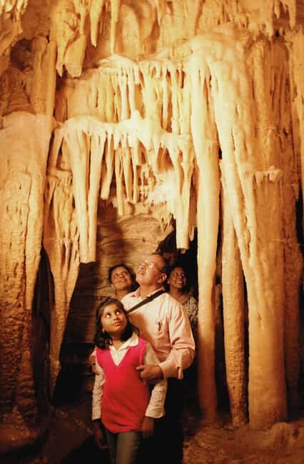 WAITOMO GLOWWORM & RUAKURI CAVES-PRIVATE TOUR FROM AUCKLAND - Discovering Ruakuri Cave