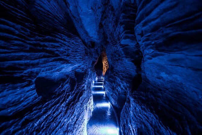 Waitomo Glowworm & Ruakuri Twin Cave - Private Tour From Auckland - The Sum Up