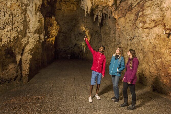 Waitomo Glowworm & Ruakuri Twin Cave Small Group Tour Ex-Auckland - Is this Tour Worth It?