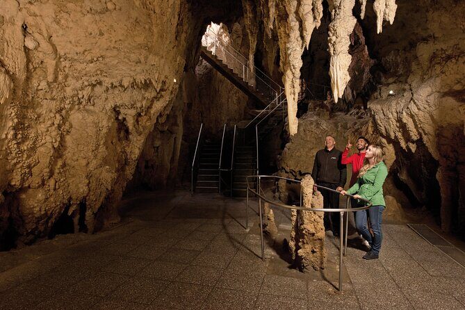 Waitomo Glowworm & Ruakuri Twin Cave Small Group Tour Ex-Auckland - Who Will Love This Tour?