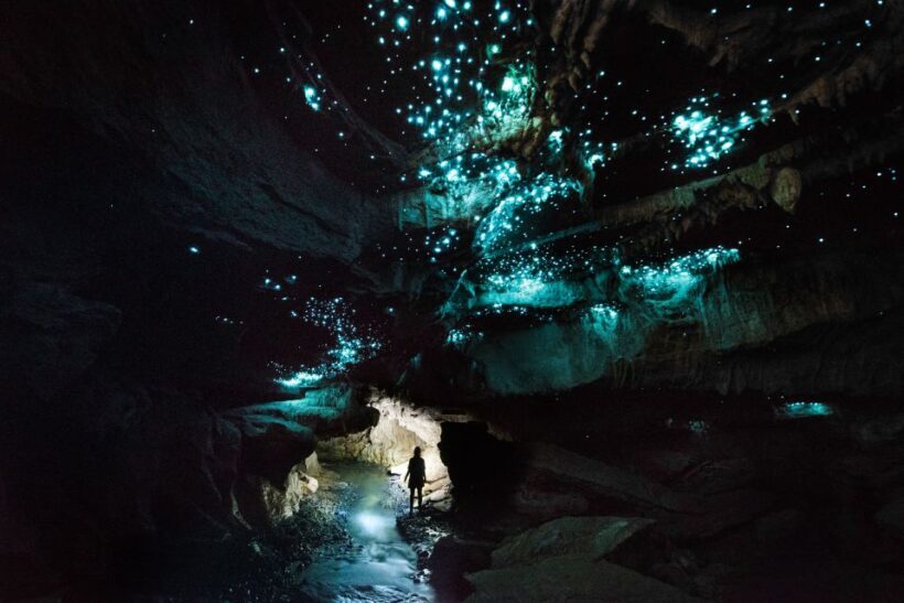 Waitomo: Guided Eco-Cave Tour - Introduction