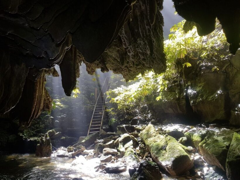 Waitomo: Guided Eco-Cave Tour - The Sum Up