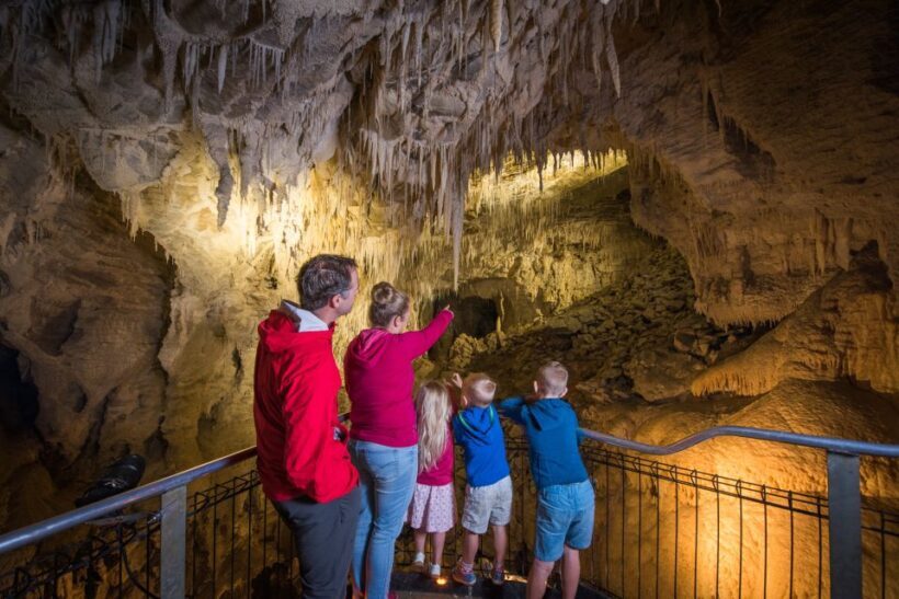 Waitomo: Ruakuri Cave 1.5 Hour Guided Tour - Key Points