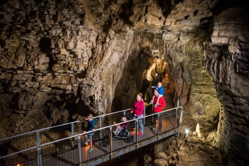 Waitomo: Ruakuri Cave 1.5 Hour Guided Tour - Final Thoughts: Who Should Consider This Tour?