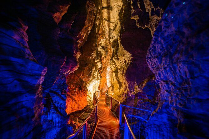 Waitomo Triple Cave Experience - Private Tour From Auckland - The Value of This Tour
