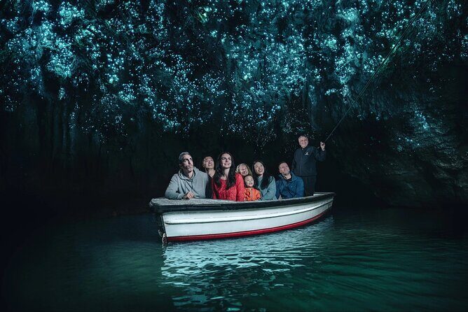 Waitomo - Twin Caves Discovery - Private Day Tour from Auckland - Introduction