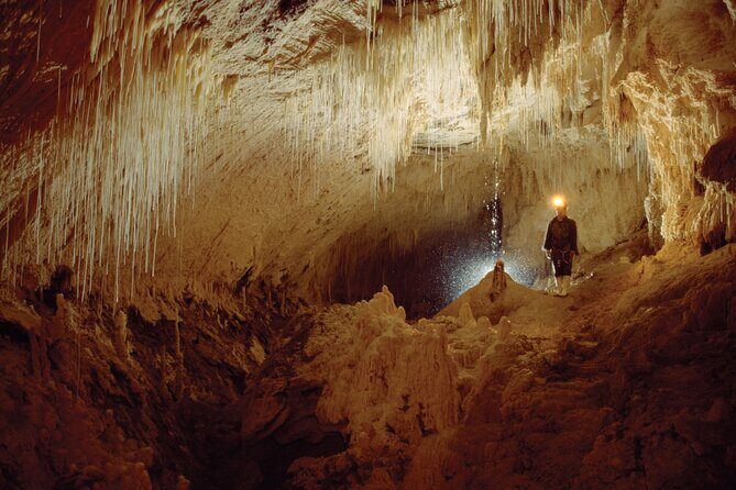 Waitomo - Twin Caves Discovery - Private Day Tour from Auckland - Key Points