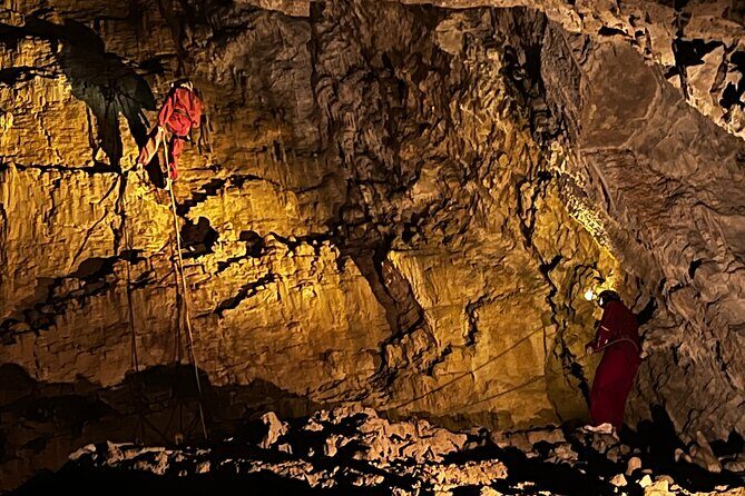 Waitomo - Twin Caves Discovery - Private Day Tour from Auckland - Who Should Consider This Tour?